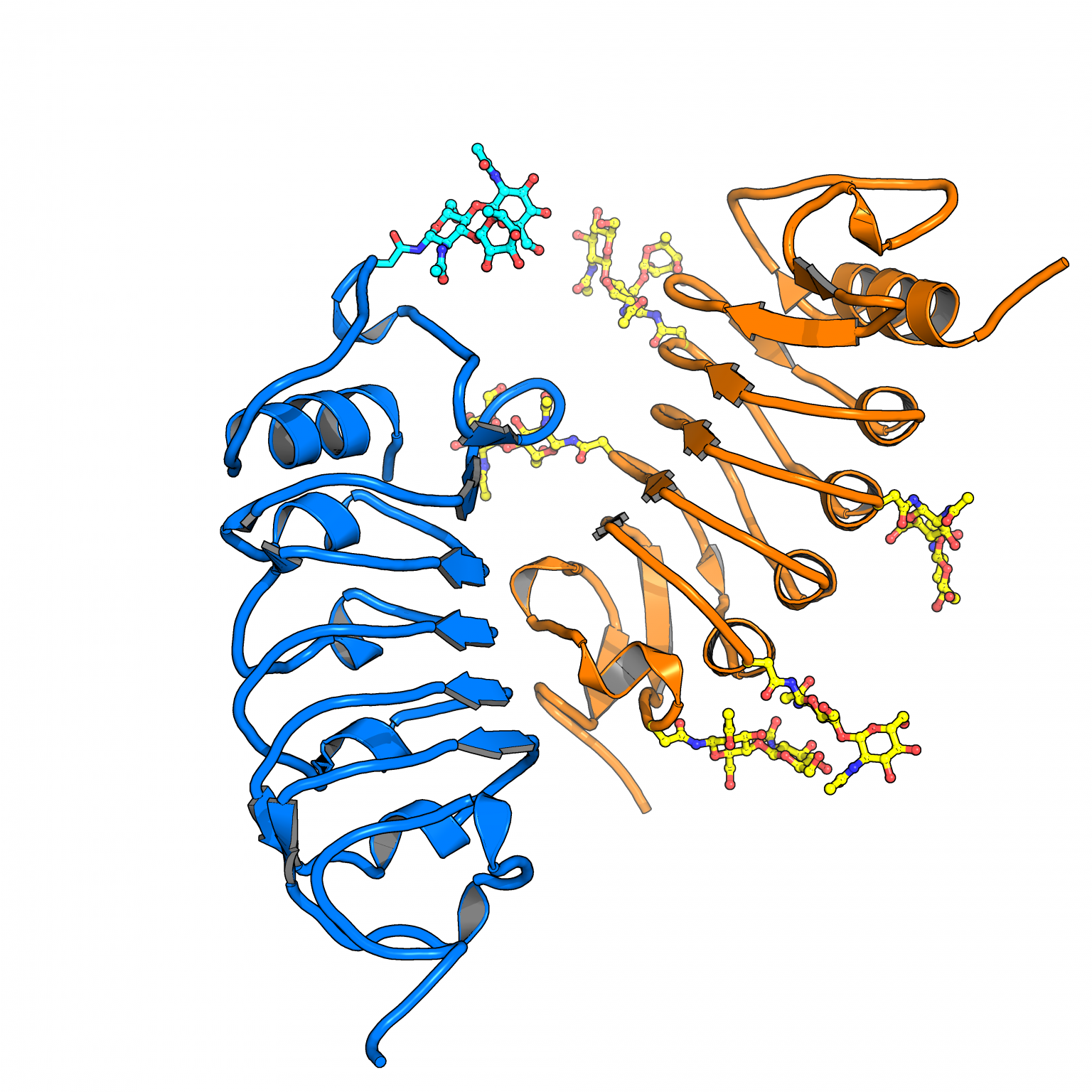 Membrane signaling
